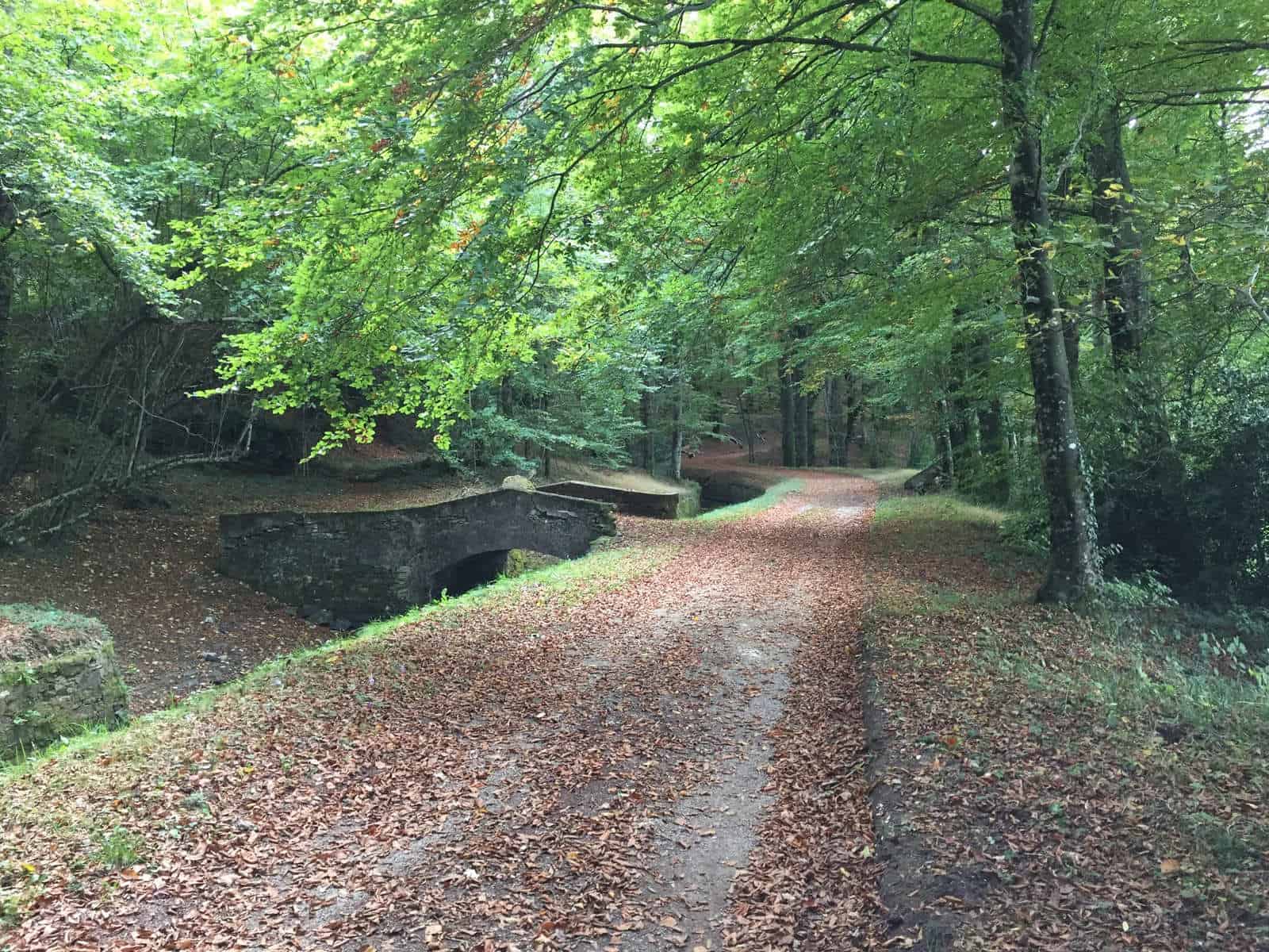 Camping Tarn | Camping de la Rigole**** camping familial, Saint Ferréol